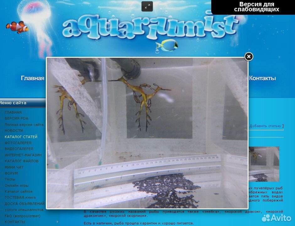 Меняю рыбку осталась одна штука