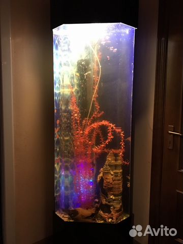 Аквариум aqualogo 200 литров угловой, обмен
