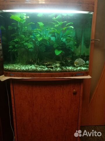 Аквариум