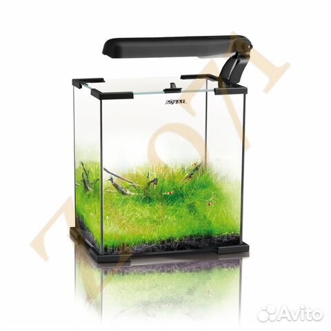 Аквариум акваэль