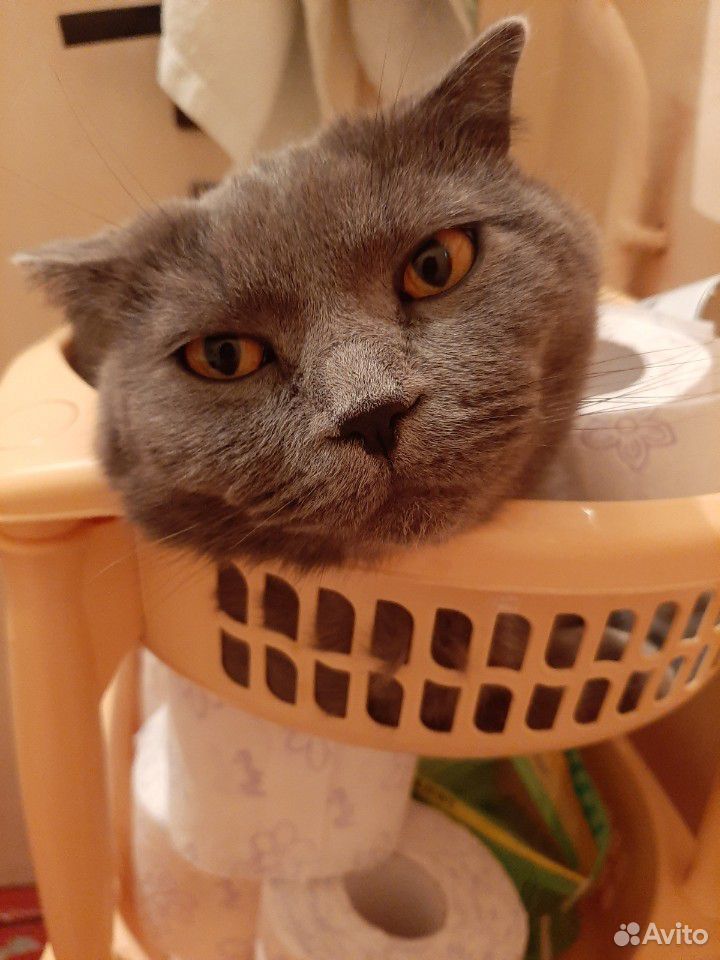Вязка