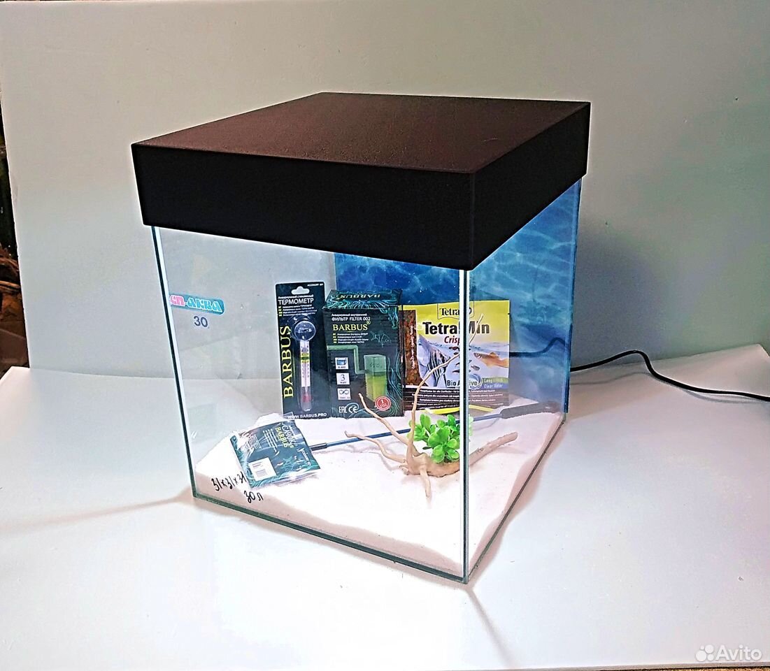 Аквариум для новичка