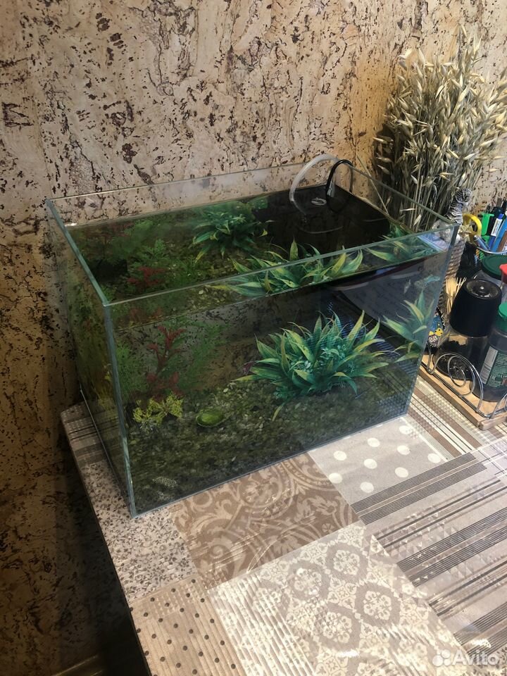 Авариум 20 литров + лампа + фильтр + рыбки