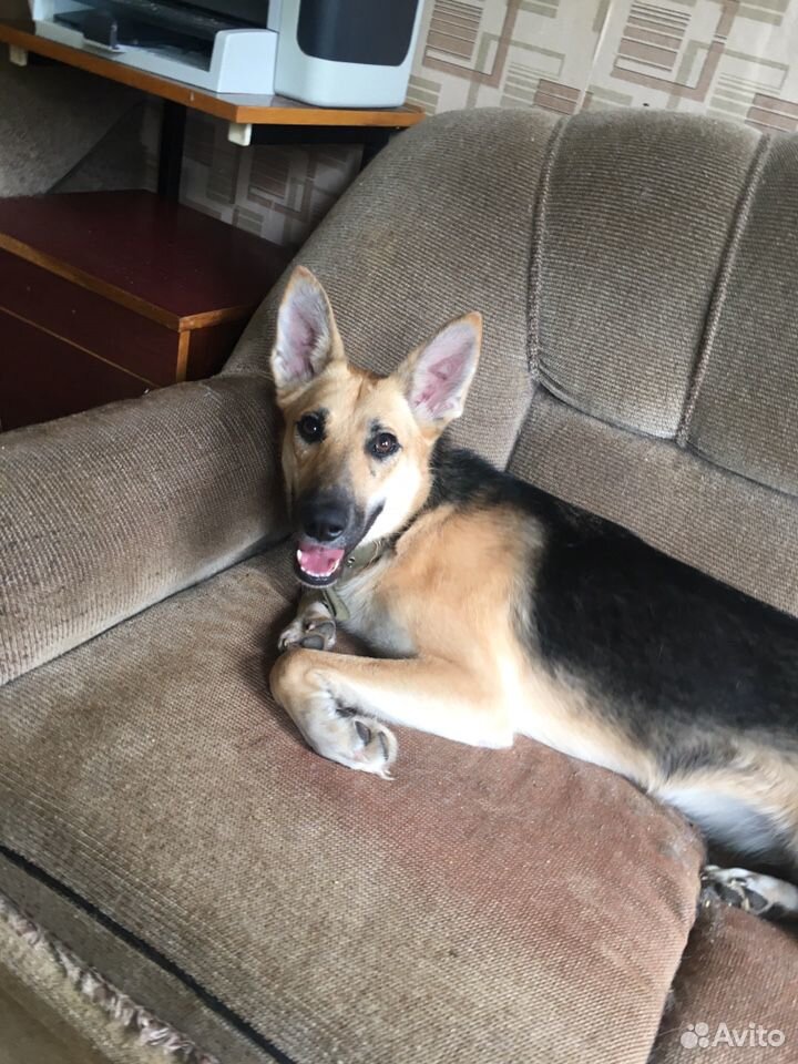 Улыбательная и задорная красавица Фиона