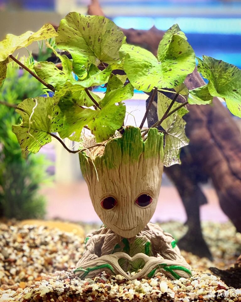 Аквариумные декорации