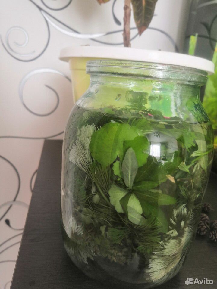 Прополка растений