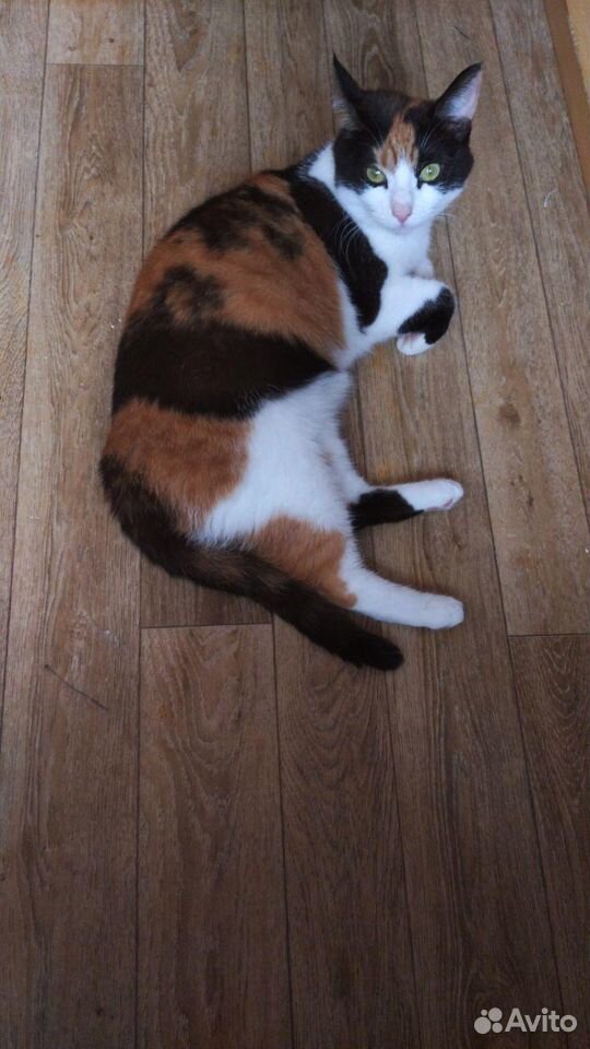 Красавица Нора, 2 года