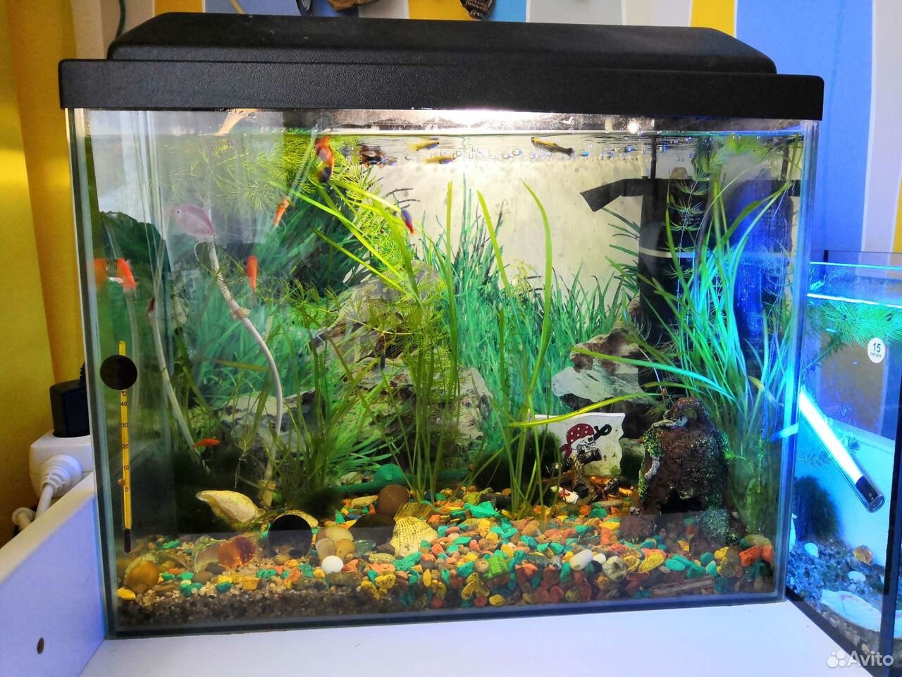 Аквариум 36 литров