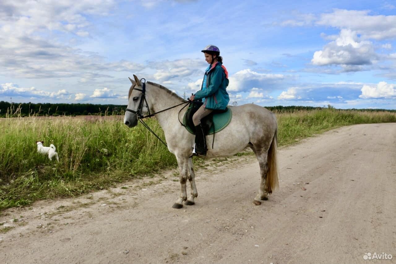 Продам кобылу пони класс