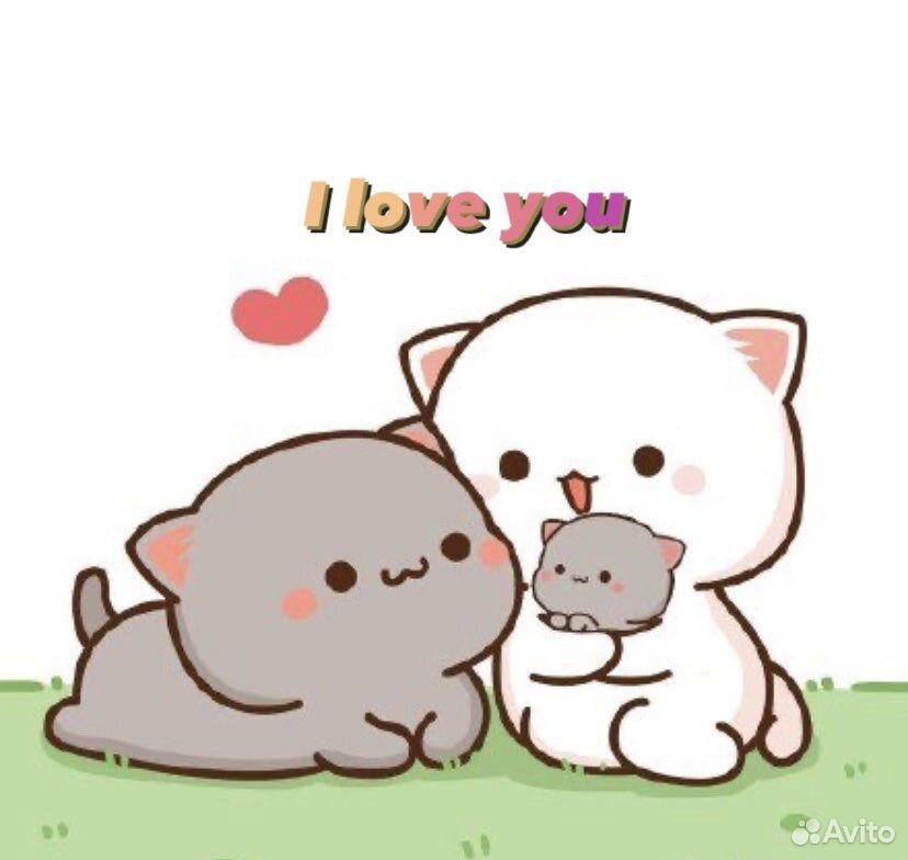 Передержка ваших котиков :)