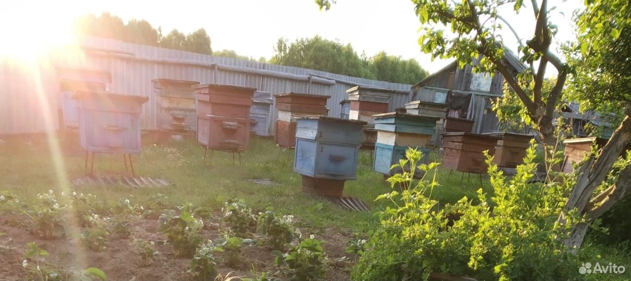 Пасека 30ульев+инвентарь