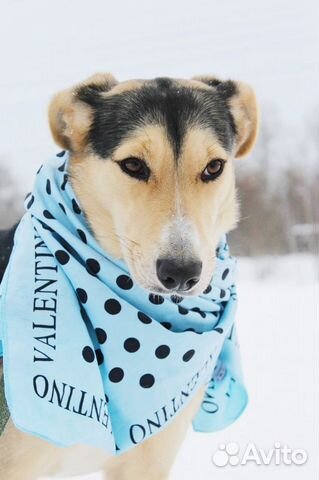 Эмма ждеь тебя