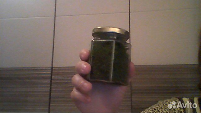 Водное растение риччия
