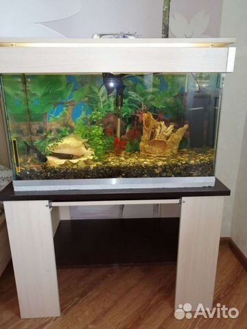 Аквариум с рыбками и тумбой