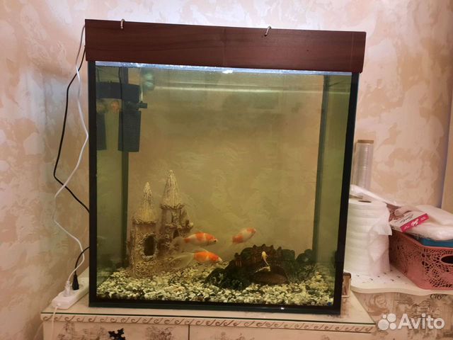 Аквариум 200 литров+рыбы+грунт+декор