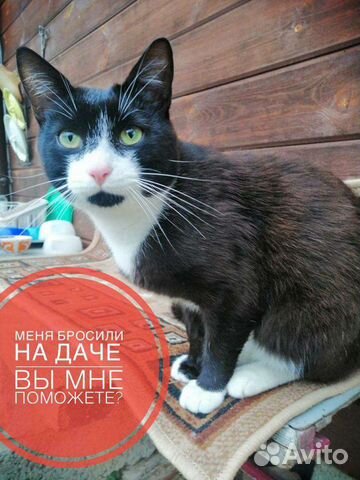 Томас замерзает