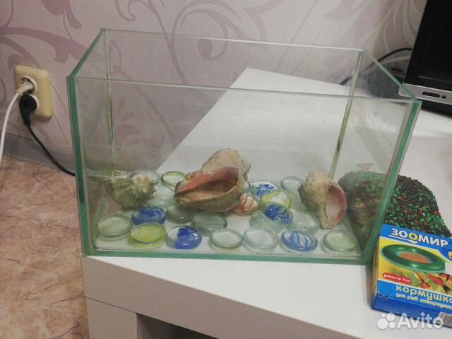 Аквариум