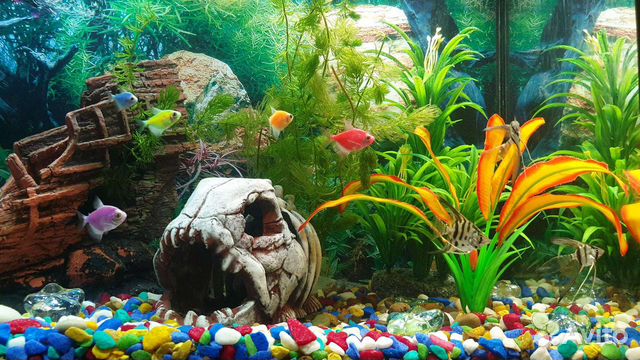 Аквариум с тумбой