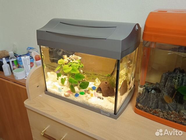 Аквариум с наполнением и рыбкой