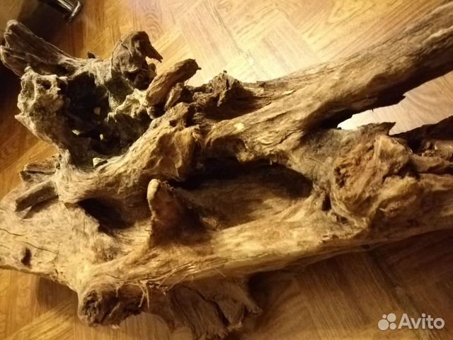 Большая мангровая коряга