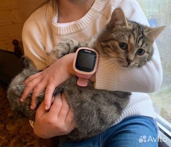 Полосатая кошечка