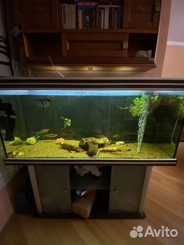 Аквариум португальской компании «Aquatlantis”