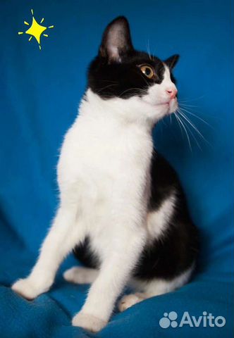 Малыш в добрые руки