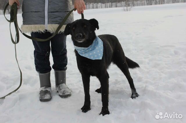 Я погибаю в приюте,мама забери меня