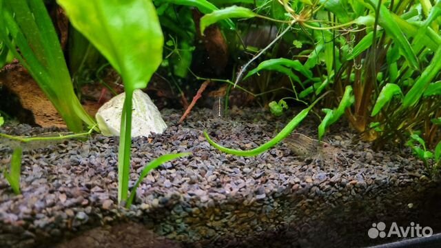 Аквариум с тумбой