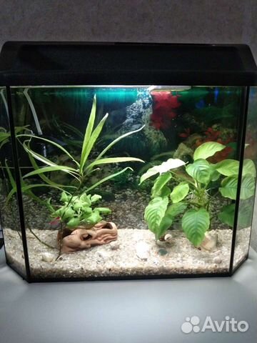 Украшение для аквариума