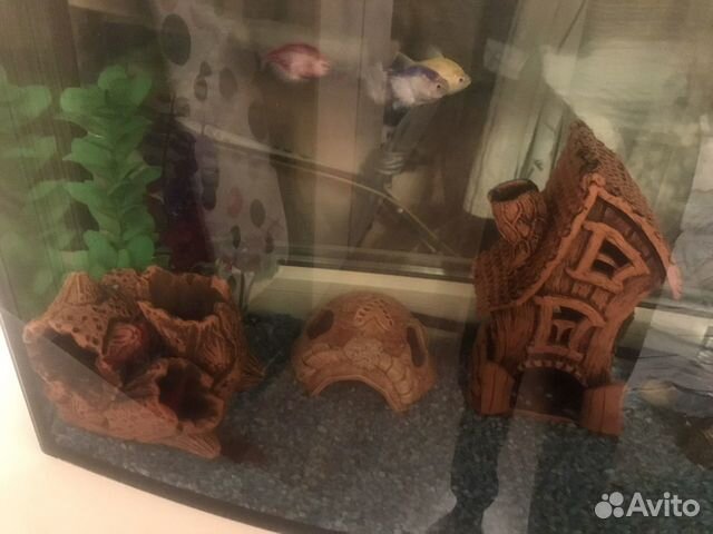 Декорации в аквариум