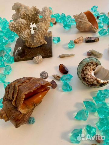 Аксессуары для аквариума