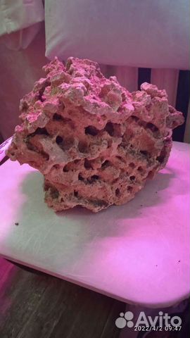 Камень песчанник