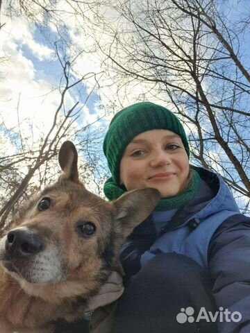 Собака в добрые руки отдам бесплатно