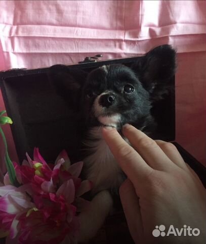 Супер мини мальчик эксклюзив