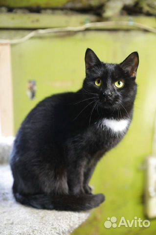 Лёха - добряк