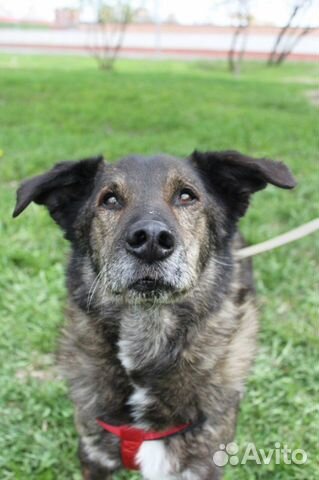 Я умру если ты не спасешь меня