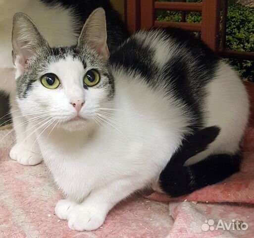 Славные девчонки-близняшки