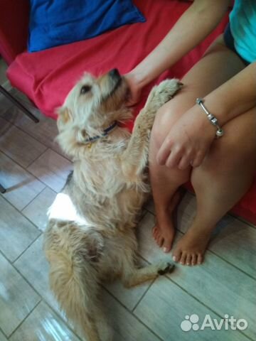 Ласковая Мария