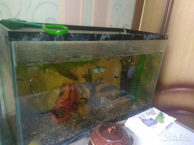 Аквариум
