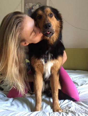 Соня - любовный талисман-ищет семью