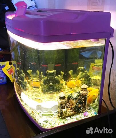 Аквариум на 70л оборудованный с рыбами в комплекте