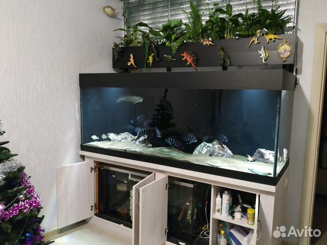 Аквариум 1500 л