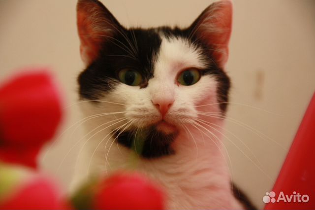 Сладкая малышка Розочка