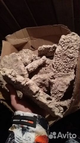 Рифовый камень морской аквариум