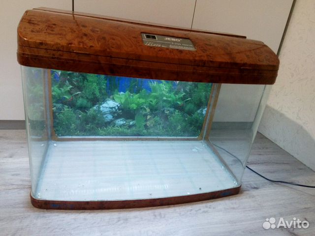 Аквариум