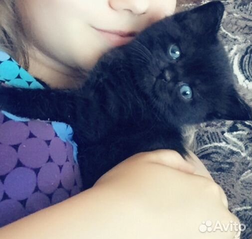Отдам в хорошие руки