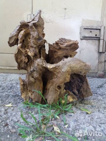 Коряги для оформления