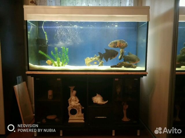Аквариум