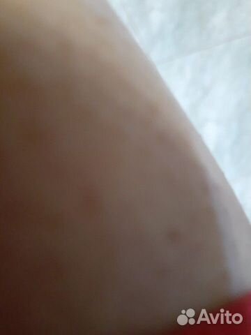 Рыбки цихлиды